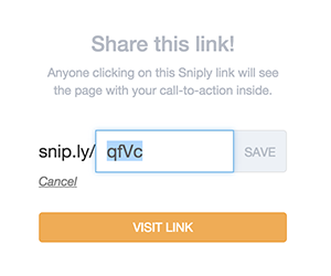 How can I customize the shortlink? – Sniply